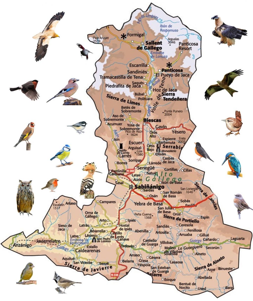 MAPA RUTAS ORNITOLOGÍA | Turismo en la Tierra de Biescas